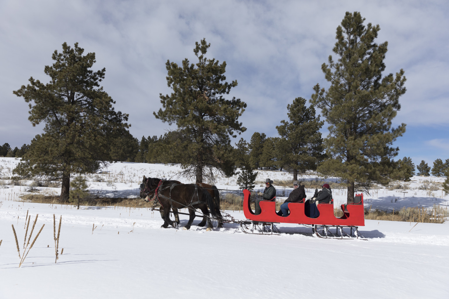 3 Day Family Winter Itinerary at Angel Fire Resort - Angel Fire Resort