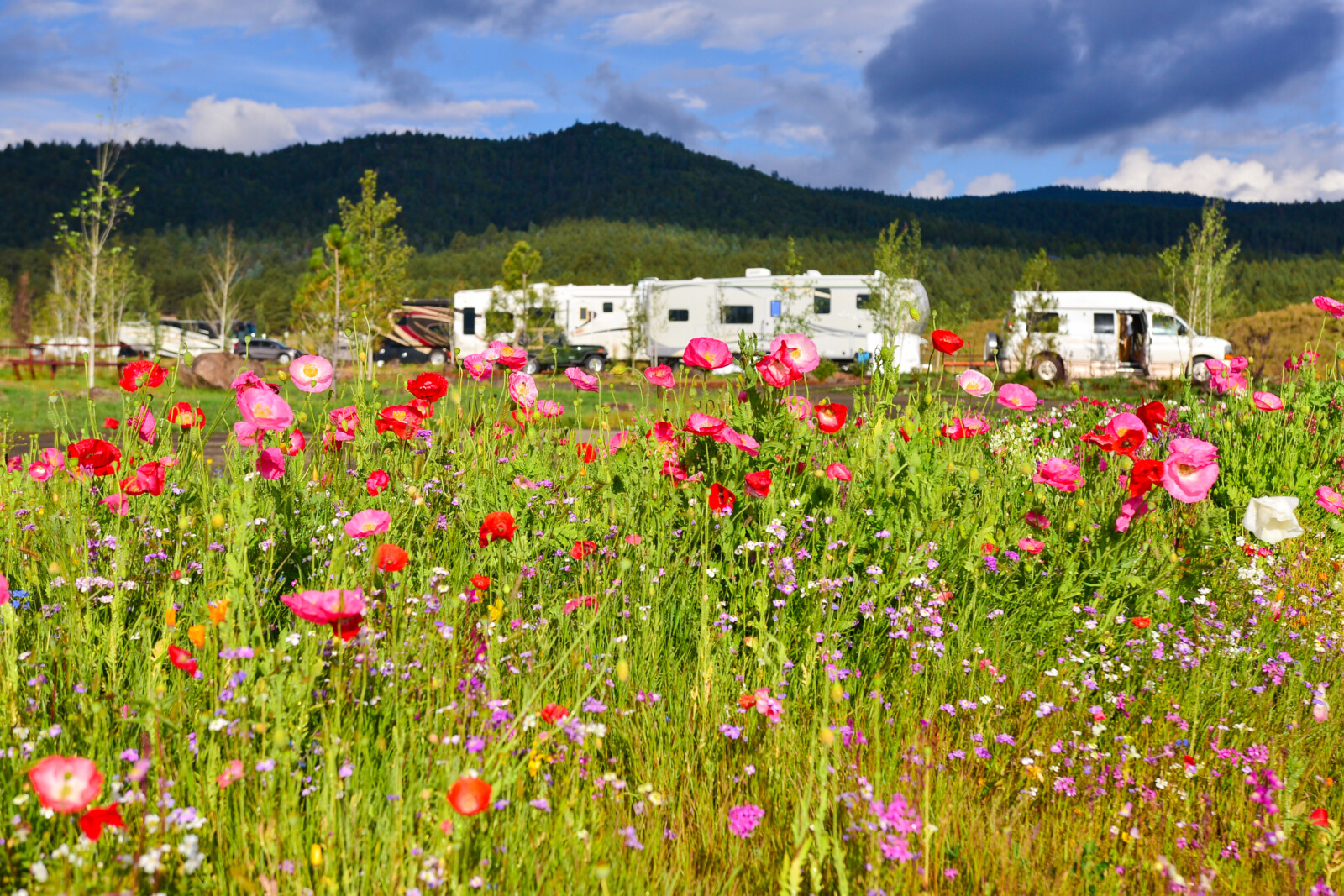 10 Reasons Why Angel Fire RV Resort Should Be Your Next RV Destination ...